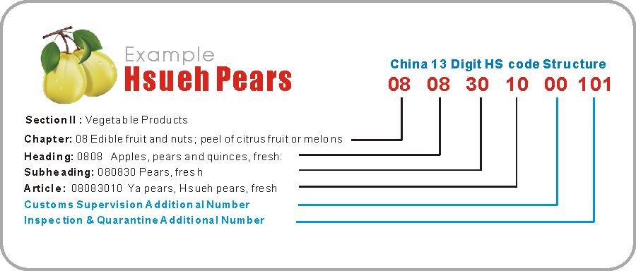 HS code là gì và hướng dẫn cách tra cứu mã HS cho hàng hóa xuất nhập